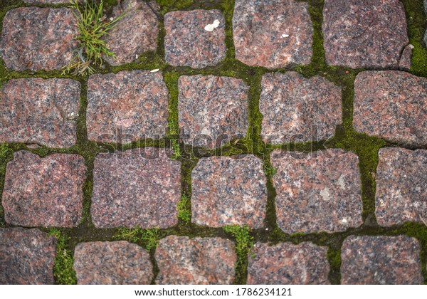 Texture Paving Slabs Create Rounded Shape Stock Photo 1786234121 ...