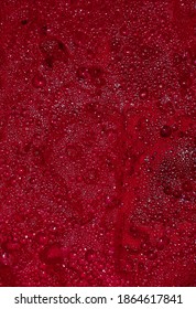 543 Cell of the red blood cells or transparent or colored cells cells ...