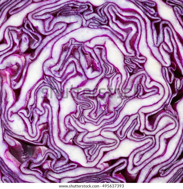 Texture Red Cabbage Cut Half Close Stock Photo 495637393 | Shutterstock