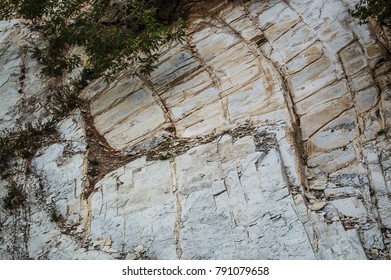 Cute Monkeys Living On Rock Sigiriya Stock Photo 526961542 | Shutterstock