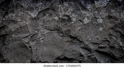 Texture Rough Stone Surface Background Stock Photo 1731001975 ...
