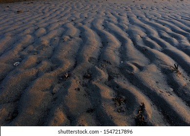 199 Exposed Mud On Beach Images, Stock Photos & Vectors | Shutterstock