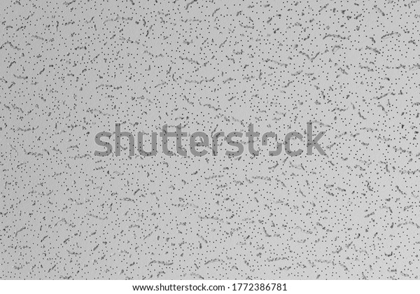 Texture Square Panel Suspended Ceiling Made Stock Photo 1772386781 ...