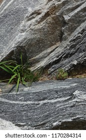 Texture Stone Slanted Pattern Stock Photo 1170284314 | Shutterstock