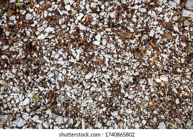 510 Soil crumbs Images, Stock Photos & Vectors | Shutterstock