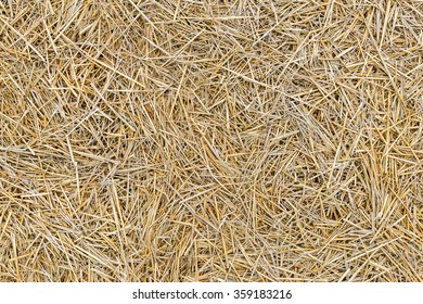 Straw On Floor Background Stock Photo (Edit Now) 1394021453
