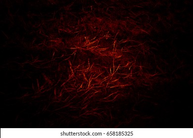 Texture Surface Red Sproutsabstract Background Texture Stock Photo ...