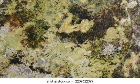 Texture Tiles Background Tiles Layout Template Stock Photo 2209622399 ...
