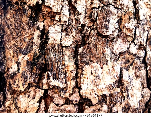 Texture Tree Bark Brown Bumps Cracks Stock Photo 734564179 | Shutterstock