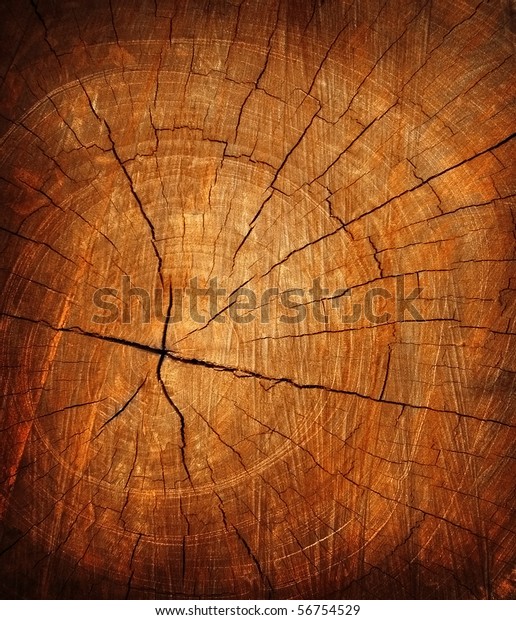 Texture Tree Stump Stock Photo (Edit Now) 56754529
