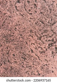 Texturesurface Rough Ceramic Tilepathway Stock Photo 2206937165 ...