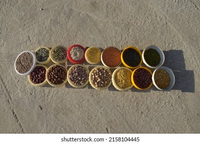 5,978 Gram pulse Images, Stock Photos & Vectors | Shutterstock
