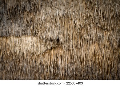 Thatch Background Stock Photo 225357403 | Shutterstock