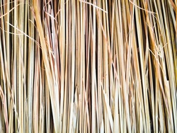 Thatch roof background containing cottage, textural, and thatch ...