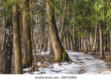 35,129 Spring thaw Stock Photos, Images & Photography | Shutterstock