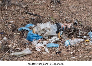 119,448 Bosque contaminado Images, Stock Photos & Vectors | Shutterstock