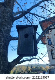 There Rectangular Birdhouse On Tree Forest Stock Photo 2182165087 ...
