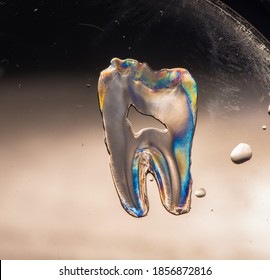 Thin Section Human Tooth Polarized Light Stock Photo (Edit Now) 1856872816