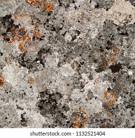 This Dressed Stone Surface Stone Table Stock Photo 1132521404 ...