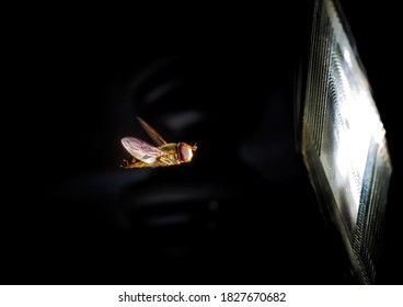 1,015 Macro epic Images, Stock Photos & Vectors | Shutterstock