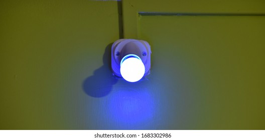 16 Zero Watt Bulb Images, Stock Photos & Vectors | Shutterstock