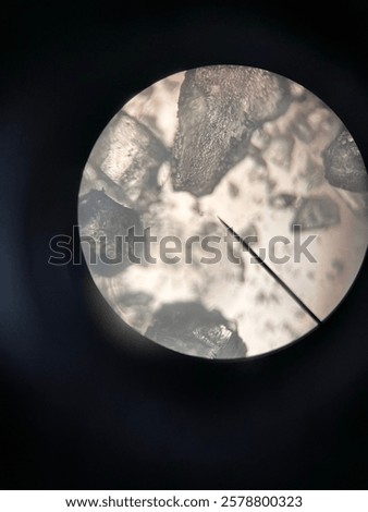 Free Stock Photo of Salt under the Microscope | Download Free Images ...