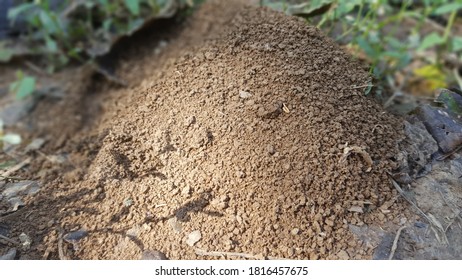 Egyptian Dolerite Hammer Assuan Egypt Stock Photo 1083134534 | Shutterstock
