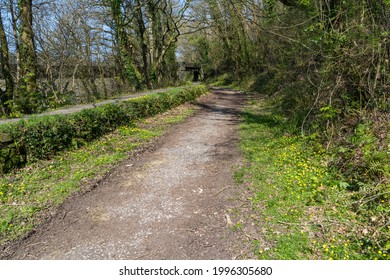 205 Tarka trail Images, Stock Photos & Vectors | Shutterstock