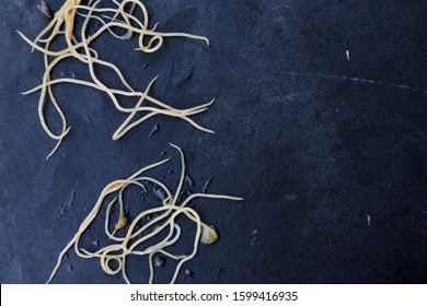 Стоковая фотография 1611393676: Parasites Threadworms On Black ...