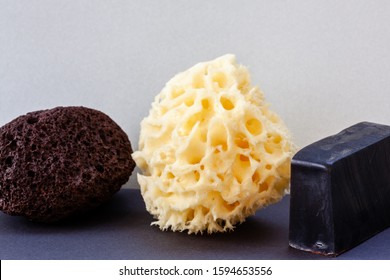 48 Tar sponge Images, Stock Photos & Vectors | Shutterstock