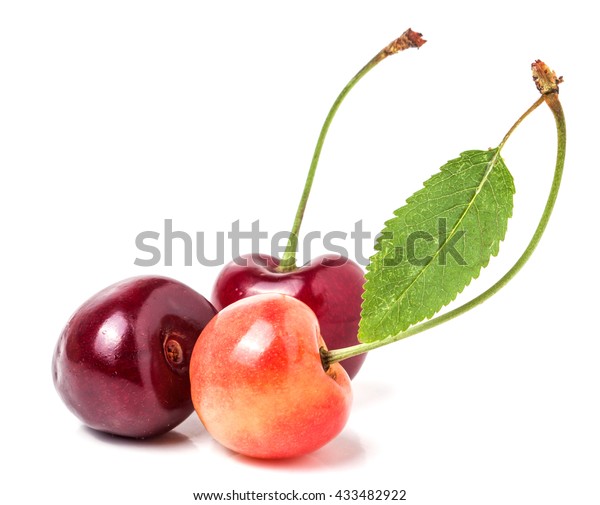 Three Cherries Leaf Closeup Isolated On Stock Photo 433482922 ...