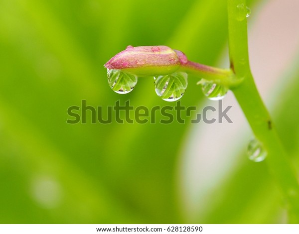 Three Droplets Stock Photo 628128590 | Shutterstock