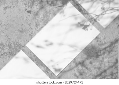 Three Empty White Vertical Rectangle Poster Stock Photo 2029724471 ...