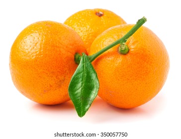 Three Mandarin Leaf Isolated On White Stock Photo 350057750 | Shutterstock