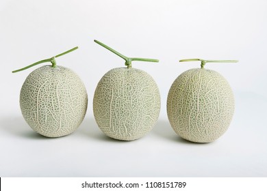 Three Melons Row Stock Photo 1108151789 | Shutterstock