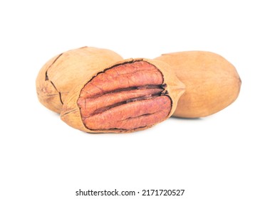 1,416 Broken Pecan Shell Images, Stock Photos & Vectors | Shutterstock