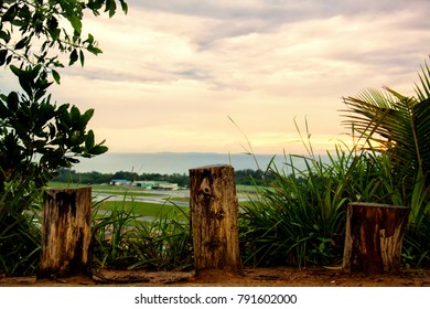 Stock Photo and Image Portfolio by Rydell Wong | Shutterstock