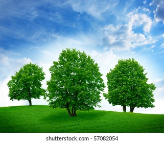 272,210 3 trees Images, Stock Photos & Vectors | Shutterstock