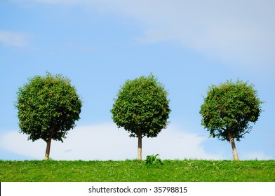 575,415 Round tree Images, Stock Photos & Vectors | Shutterstock