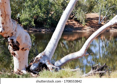 1,218 Australian billabong Images, Stock Photos & Vectors | Shutterstock