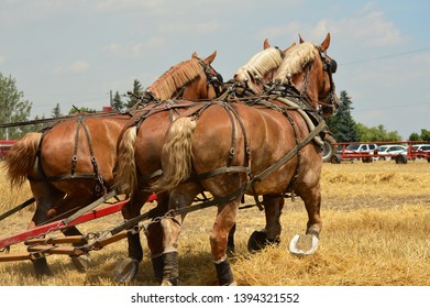 115 3 abreast Images, Stock Photos & Vectors | Shutterstock