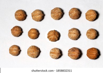 953 Normal shell Images, Stock Photos & Vectors | Shutterstock