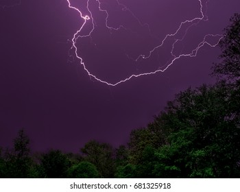 43 Thunderstruck tree Images, Stock Photos & Vectors | Shutterstock
