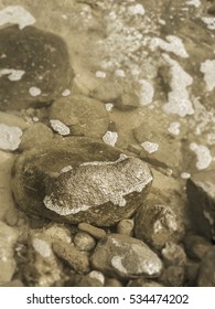 Tidal Rocks Stock Photo 534474202 | Shutterstock