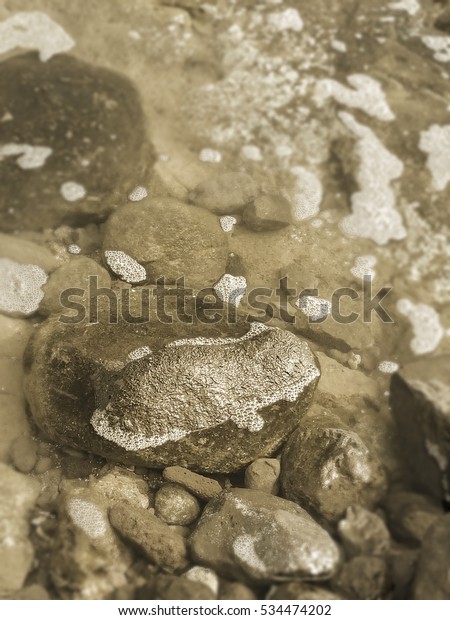Tidal Rocks Stock Photo 534474202 | Shutterstock