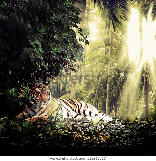 Tiger Stock Photo (Edit Now) 115262323