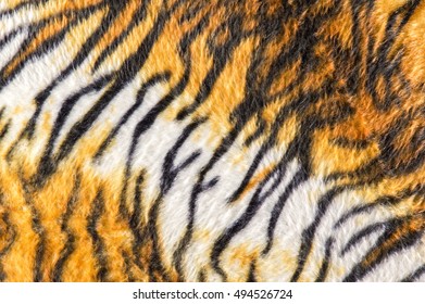 Tiger Fur Pattern Stock Photo 494526724 | Shutterstock
