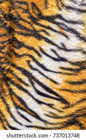 Tiger Fur Pattern Stock Photo 737013748 | Shutterstock