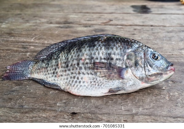 Tilapia Stock Photo 701085331 | Shutterstock