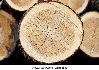 Timber Stock Photo 26864563 | Shutterstock